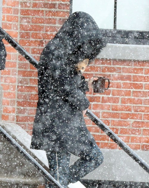 Jennifer Lawrence Braves The Snow In Boston | Celeb Dirty Laundry