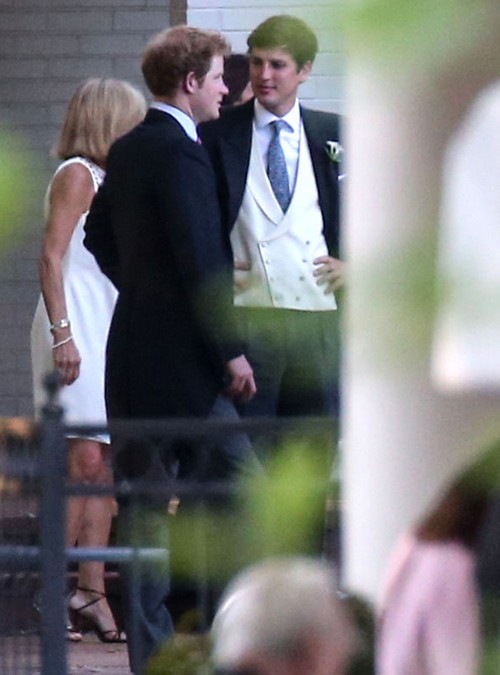 Prince Harry Party Animal