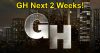 General Hospital Spoilers Next 2 Weeks: Ruined Party, Leaked Secrets ...
