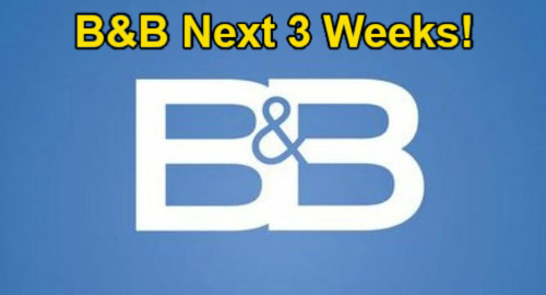 The Bold and the Beautiful Spoilers Next 3 Weeks: New Puzzles to Solve ...